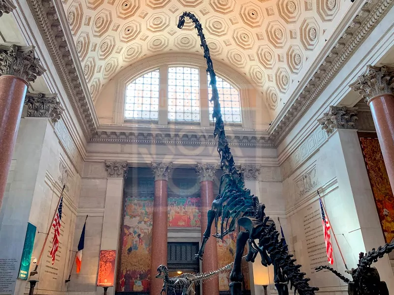 Ingressos Museu de História Natural Nova York Em Reais